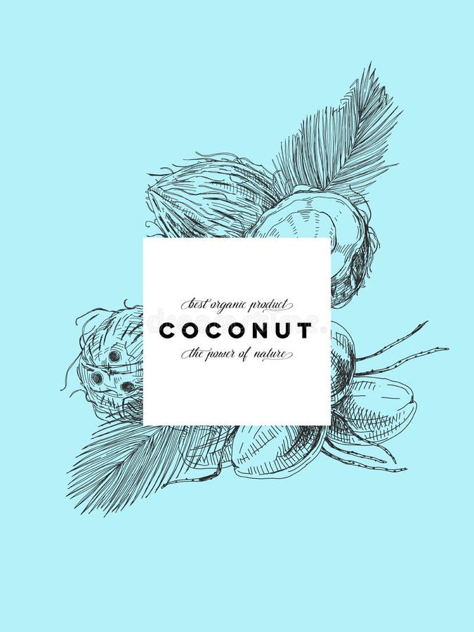 Coconut Frame Poster, Retro Hand Drawn Vector Illustration. Stock ...