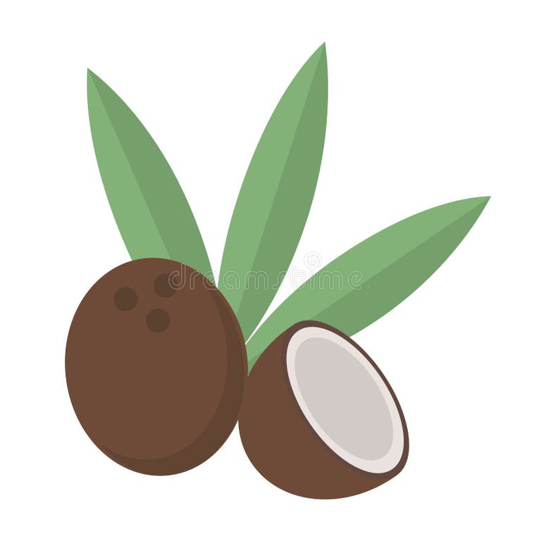 Animated Coconut Stock Illustrations – 241 Animated Coconut Stock ...
