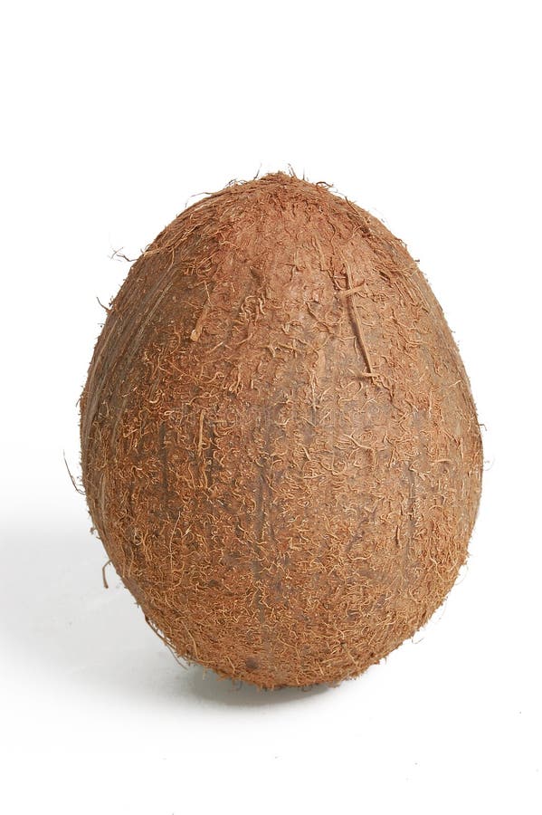 Coconut Fruit Isolated Picture. Image: 2637368