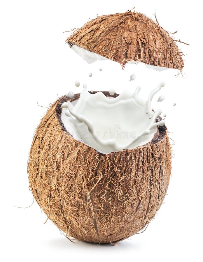 Coconut Fruit and Milk Splash Inside it. Stock Image - Image of ...