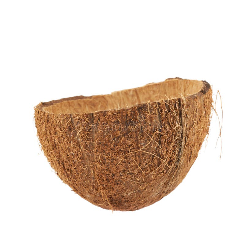 Coconut Fruit Shell Cut in Half Stock Photo - Image of break, gourmet ...