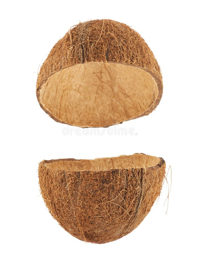 35+ Hairy coco shell Free Stock Photos - StockFreeImages