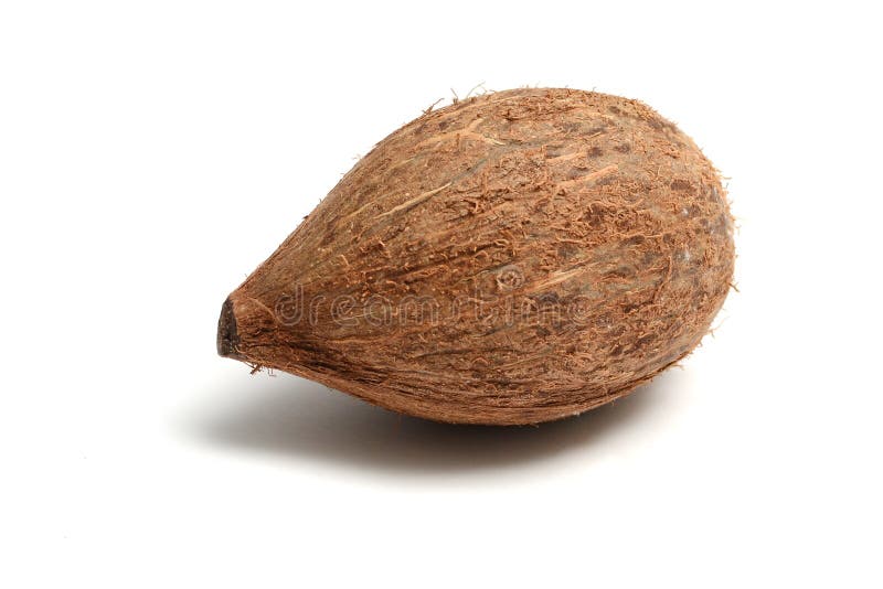 Coconut fruit stock photo. Image of healthyfood, brown - 36621400