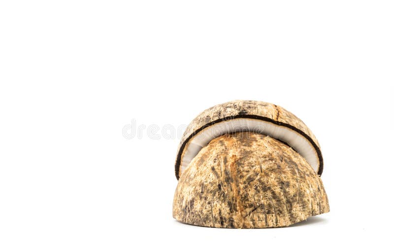 Coconut Half Isolated on White Background Stock Image - Image of ...