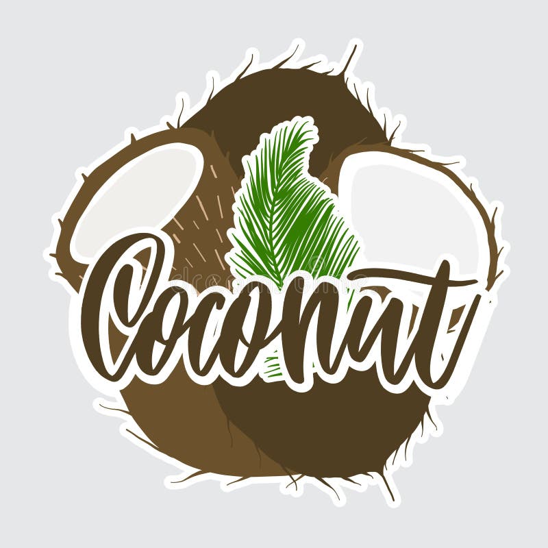 Coconut Hand Lettering Vector Label Stock Vector - Illustration of ...