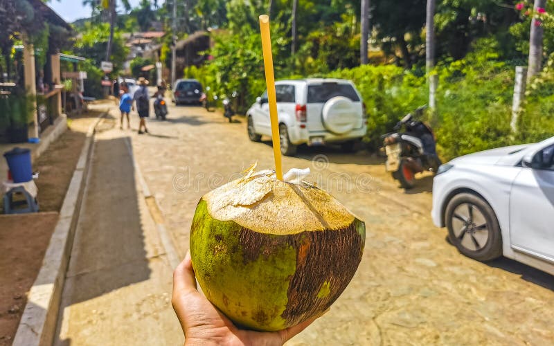 Coconut in the Hand with Straw in Mazunte Mexico Stock Image - Image of ...