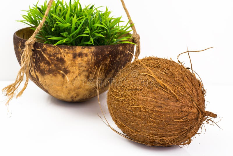 Coconut and Handmade Products from it Stock Photo - Image of decoration ...