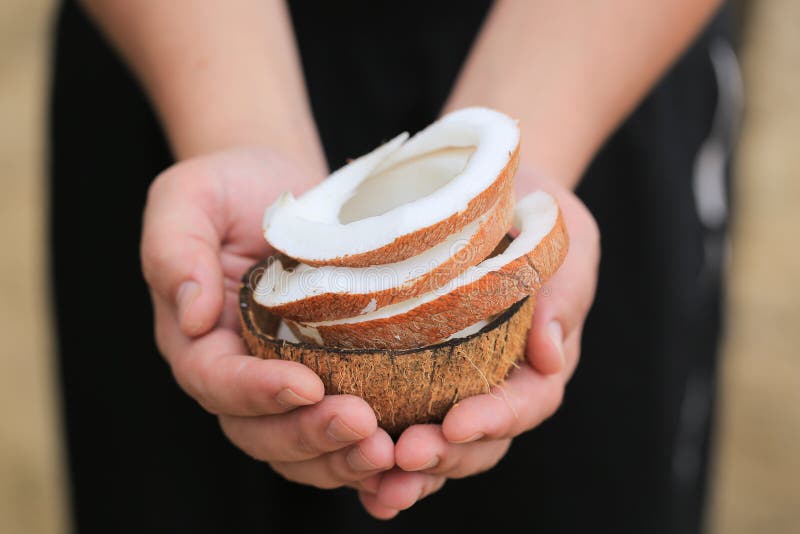Coconut in the hands stock photo. Image of tropical - 113263754