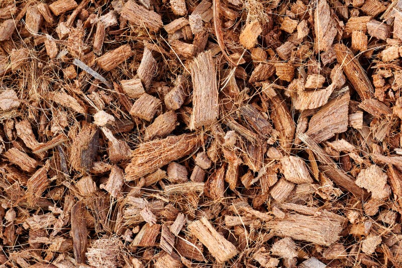 Coconut Husk Chips Background ,Use for Planting Material Stock Image ...