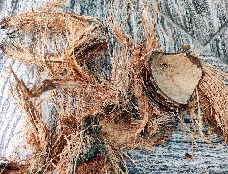 220 Coconut Husk Fibers Stock Photos - Free & Royalty-Free Stock Photos ...