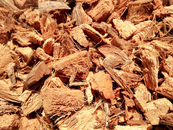 Coconut husk texture stock photo. Image of pile, ground - 91342862