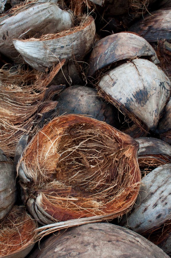 Coconut husks stock image. Image of brown, coconut, asian - 35987995