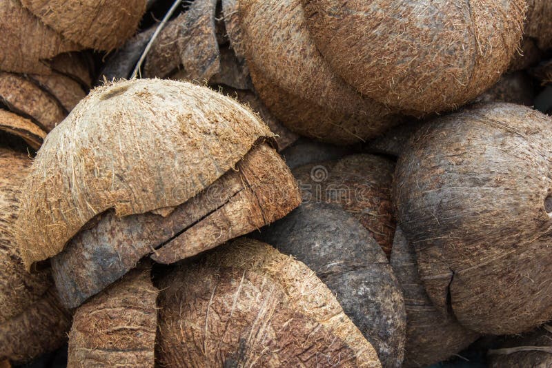 Pile Of Discarded Coconut Husks Stock Photo - Image of hard, ingredient ...