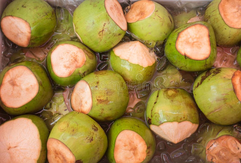Coconut in ice. stock image. Image of chilled, coconut - 101500535