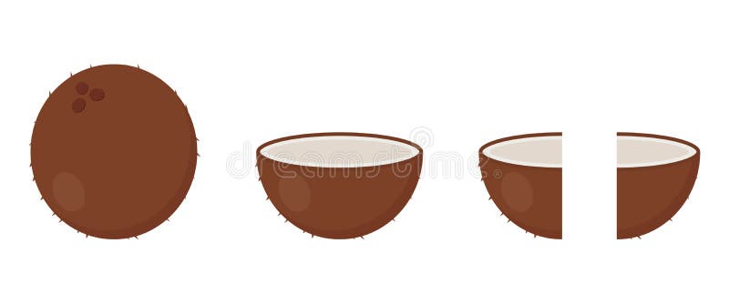 Coconut Icon in Cartoon Style. Whole, Half and Fourth Part of Coconut ...