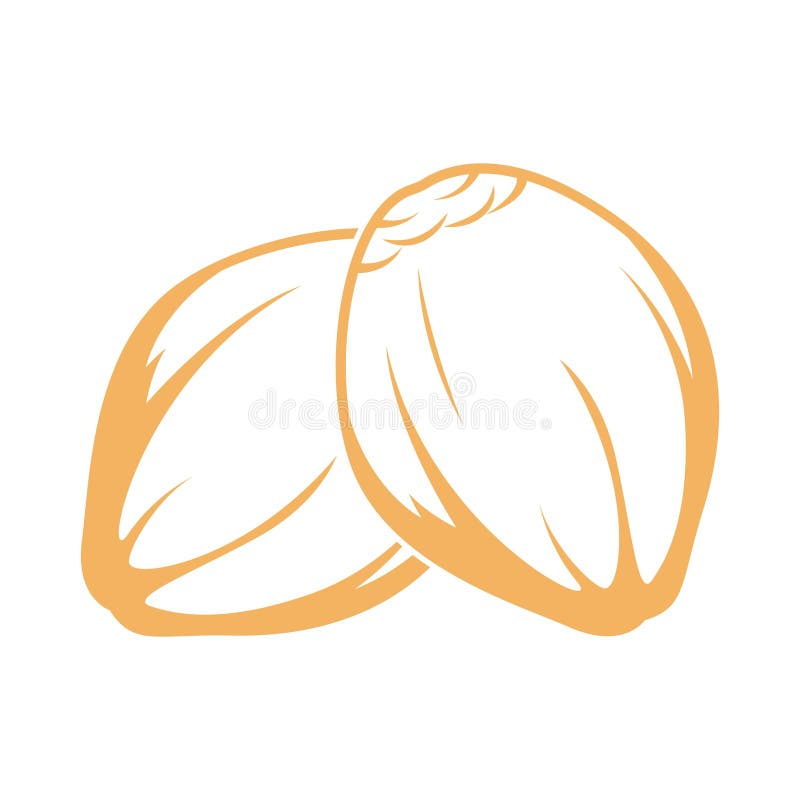 Coconut icon logo design stock vector. Illustration of drink - 274197998