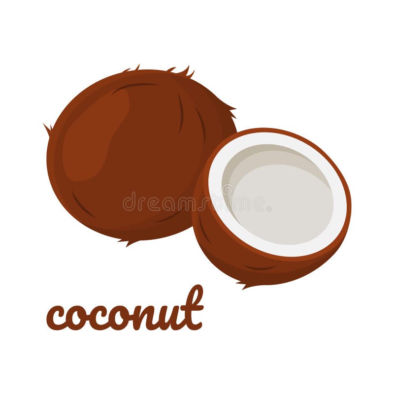 Coconut Dried Peel Stock Illustrations – 109 Coconut Dried Peel Stock ...