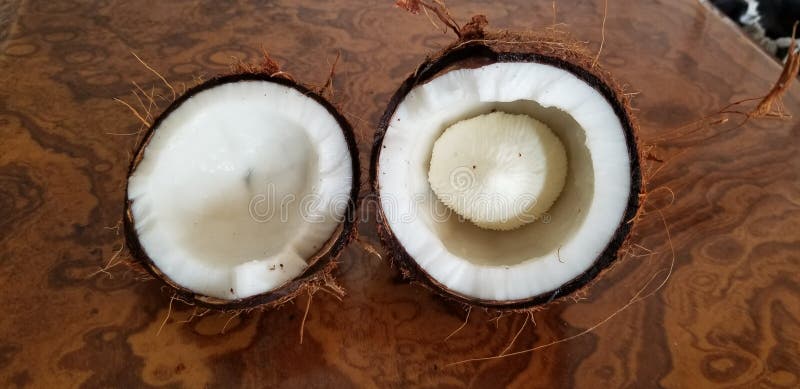 Coconut inside flower stock photo. Image of flower, healthy - 131862332