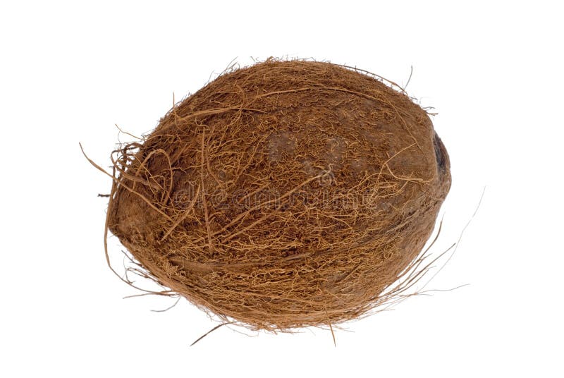 Coconut Isolated On White Picture. Image: 3473423