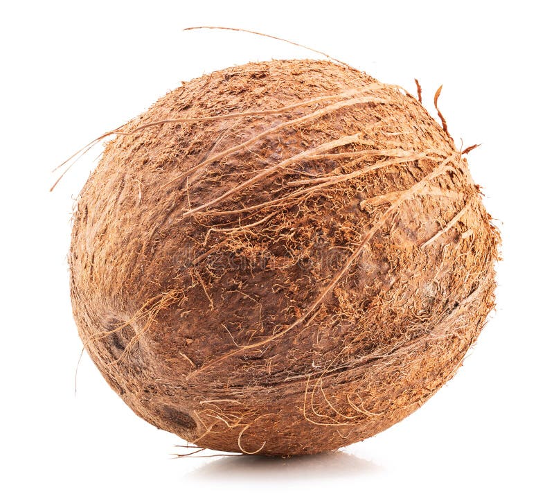 Coconut Isolated on a White Background Stock Photo - Image of ...