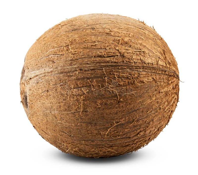 Coconut stock photo. Image of fresh, nature, details - 46185926