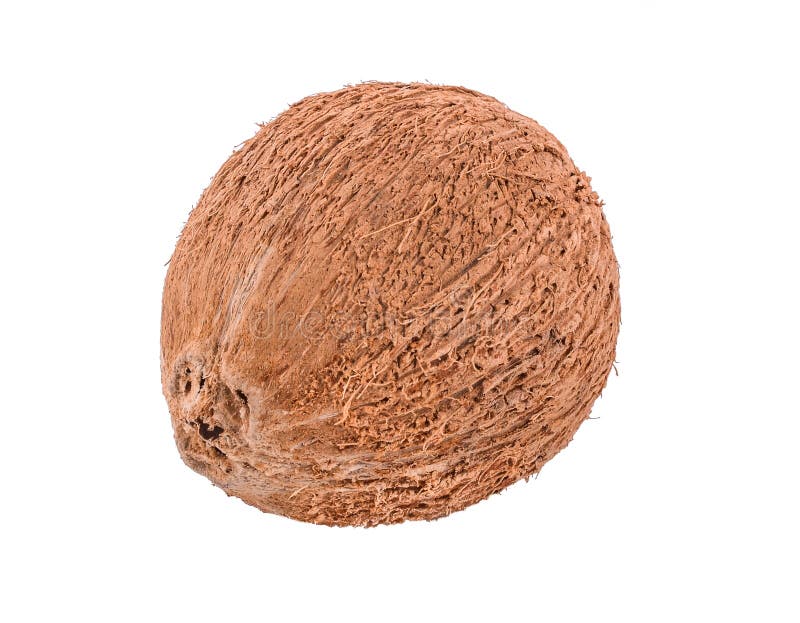 Coconut Isolated on the White Background Stock Photo - Image of ...
