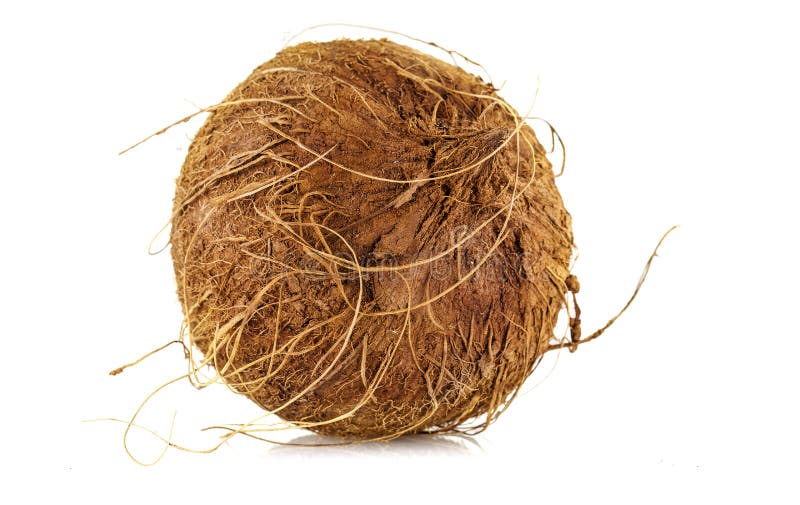 Coconut Isolated on White Background. Stock Image - Image of delicious ...
