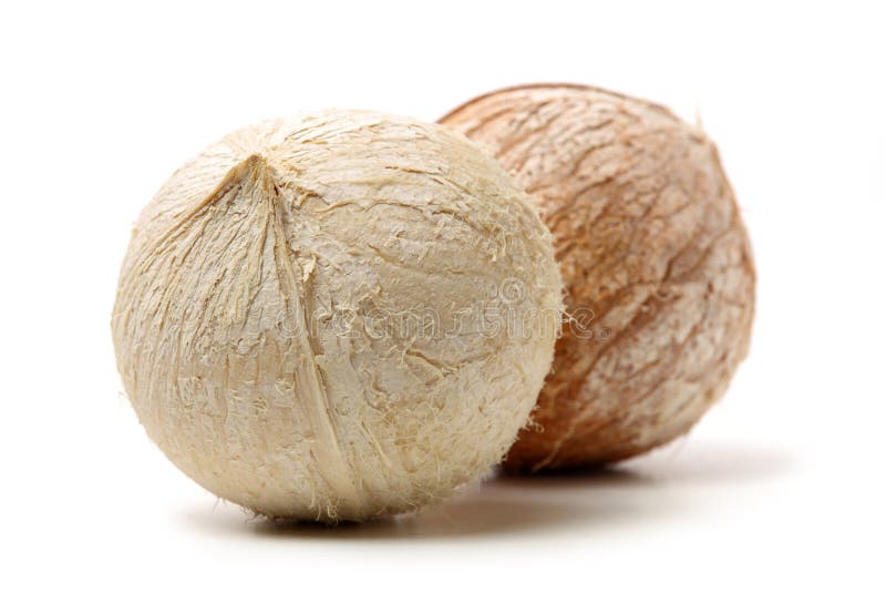 Coconut on White Background Stock Image - Image of climate, fresh ...