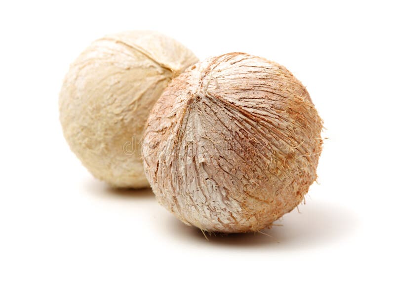 Coconut on White Background Stock Photo - Image of isolated, coconut ...