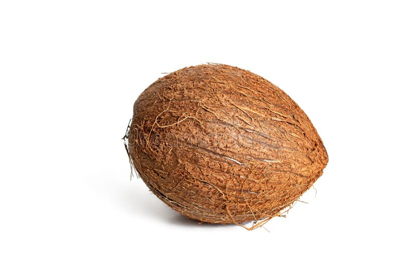 Coconut Isolated on a White Background Stock Photo - Image of coconut ...