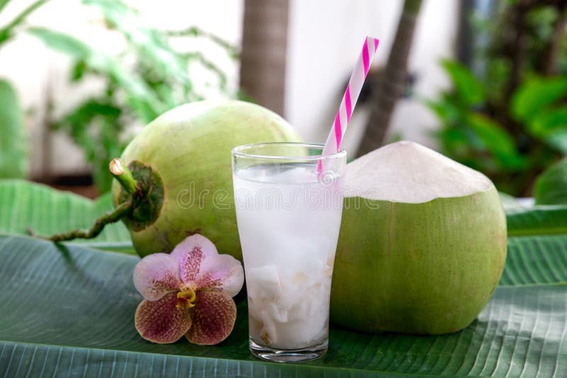 Coconut juice stock photo. Image of beautiful, fruit - 118746830