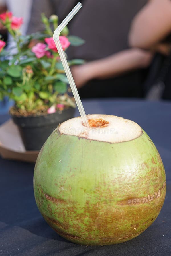 Coconut juice stock photo. Image of closeup, juice, focus - 117154232
