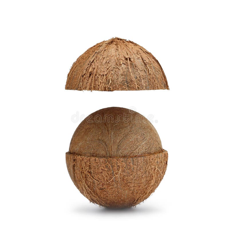 Coconut Kernel with a Weighing Empty Shell Above it on a White Isolated ...