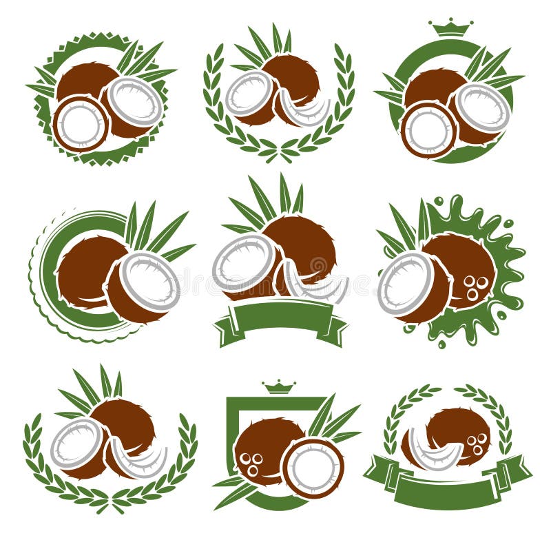 Coconut Labels and Elements Set. Vector Stock Vector - Illustration of ...