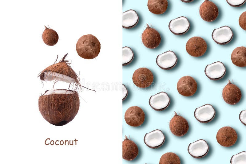 3,145 Coconut Layout Stock Photos - Free & Royalty-Free Stock Photos ...