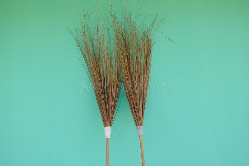 Coconut Leaf Broom on Green Background. Stock Image - Image of group ...