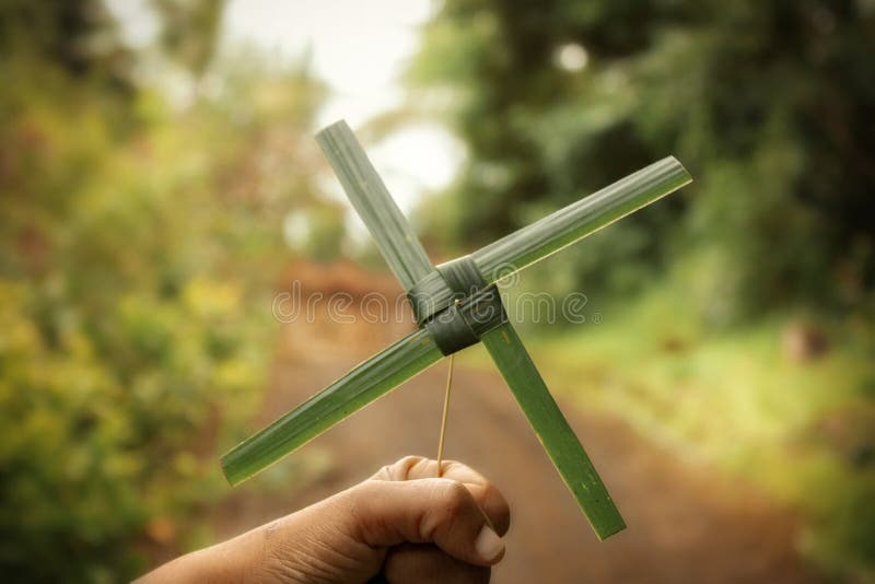 Coconut leaf fan stock photo. Image of grass, leaf, lawn - 194564272