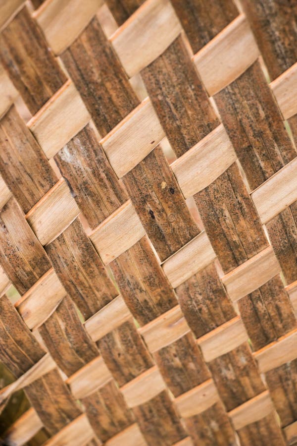 Coconut Leaf Mat Background Stock Photo - Image of leaf, baja: 49252656