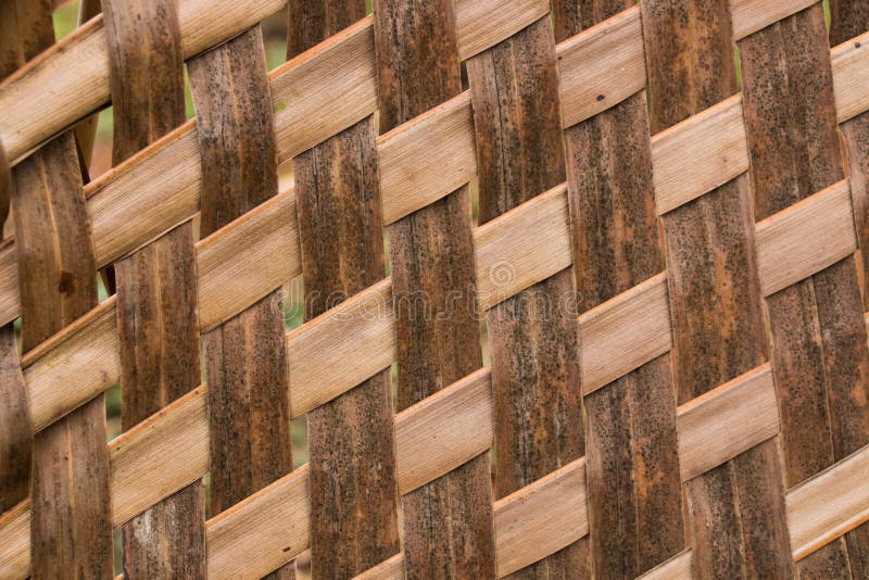 Coconut Leaf Mat Background Stock Image - Image of palm, mexico: 49252837