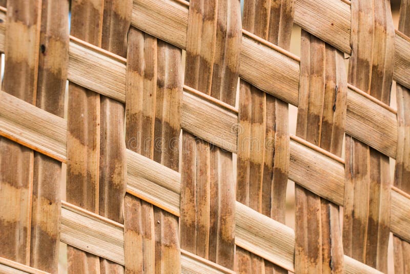 Coconut Leaf Mat Background Stock Image - Image of baja, mexico: 49252839