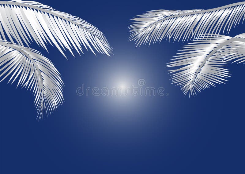 Coconut Tree or Palm Tree Isolated on White Background Stock Photo ...