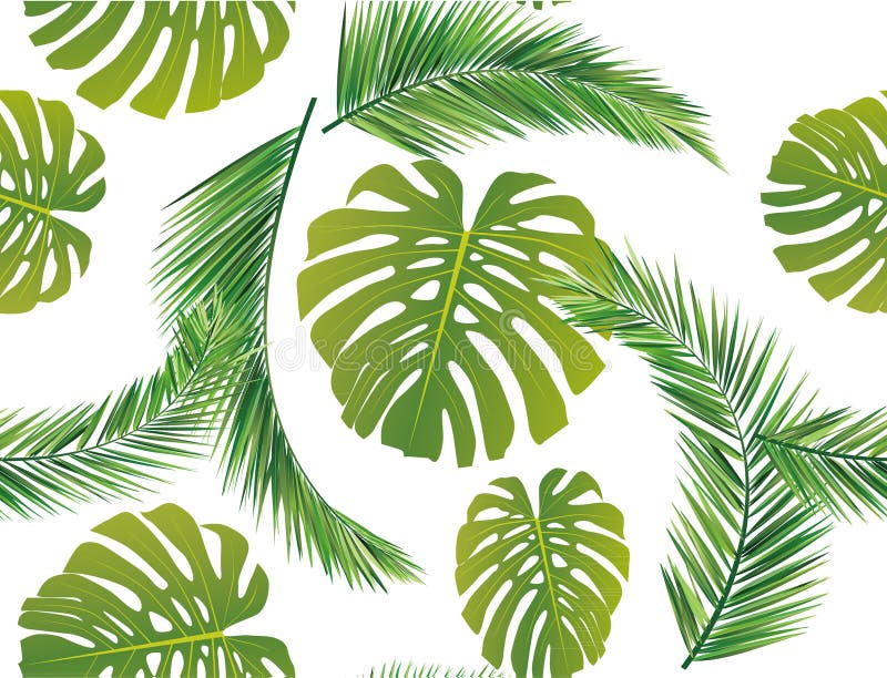 Coconut leaf stock vector. Illustration of vector, love - 28722098 Coconut leaf stock vector. Illustration of vector, love - 28722098