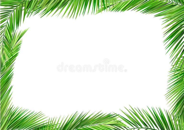 Coconut Tree Frame Border Vector Stock Illustrations – 1,011 Coconut ...