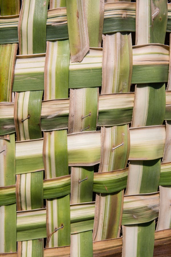 Woven Palm Leaves Mat Texture For Background Stock Photo - Image of ...