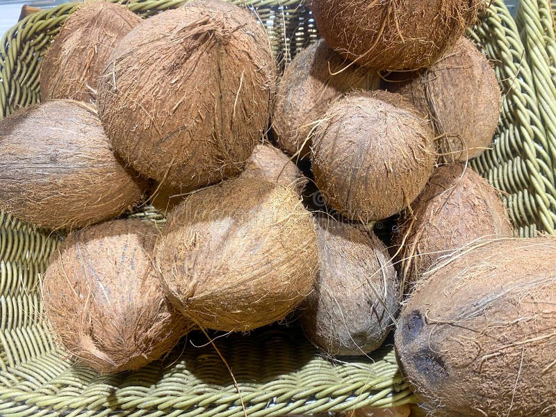 Coconut Lies Counter Store Stock Photos - Free & Royalty-Free Stock ...