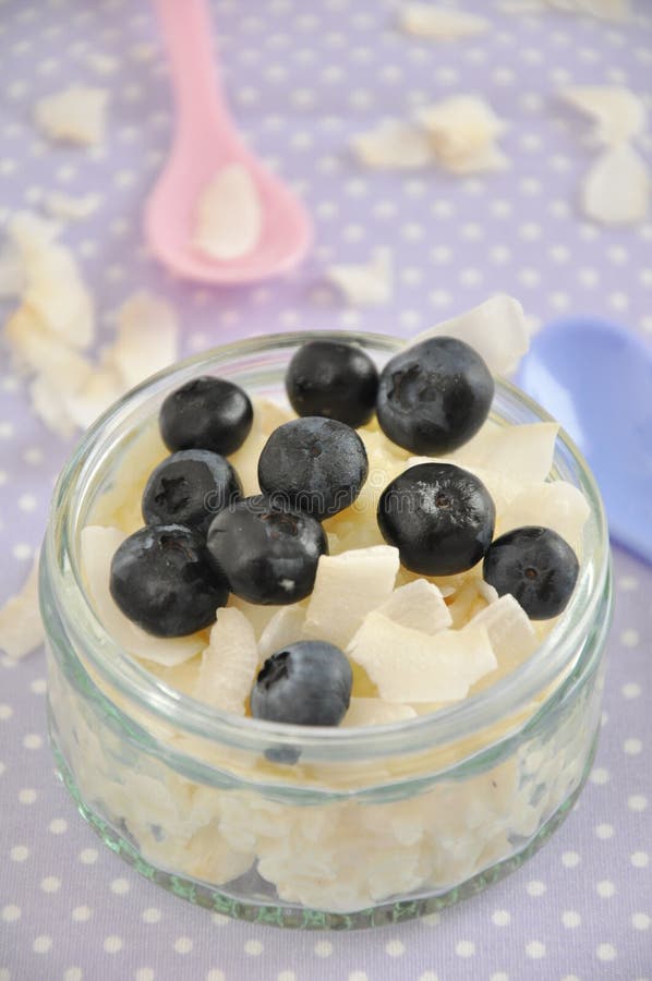 Coconut Milk Rice Pudding stock image. Image of energy - 29475811