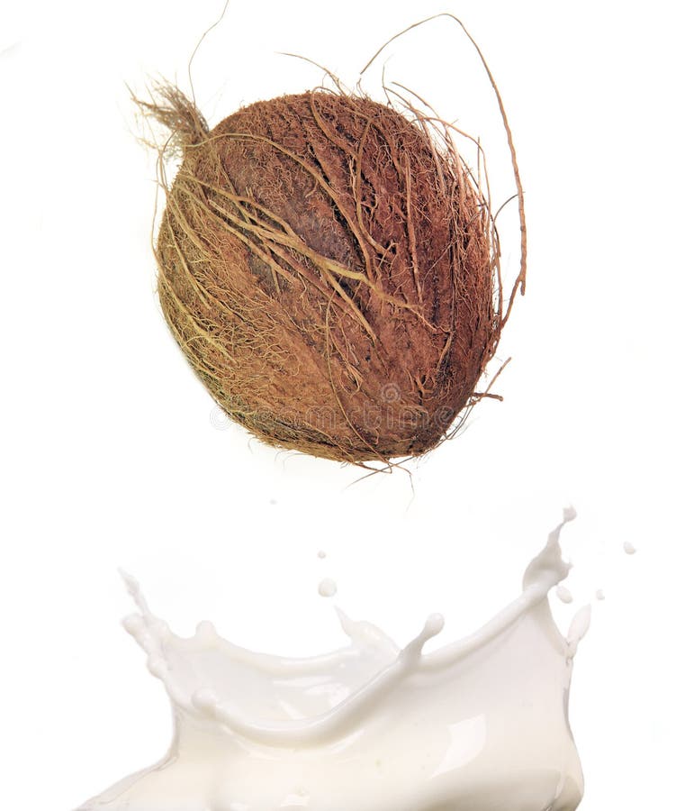 Coconut milk splash stock image. Image of coco, ingredient - 18950199