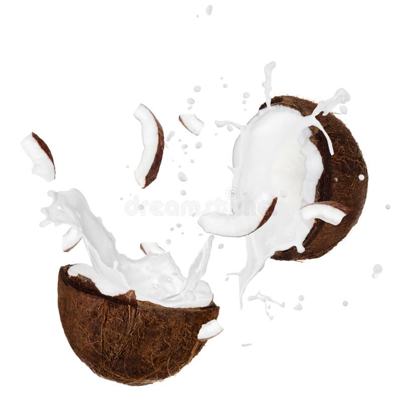 Coconut with milk splash stock photo. Image of splattered - 29024150