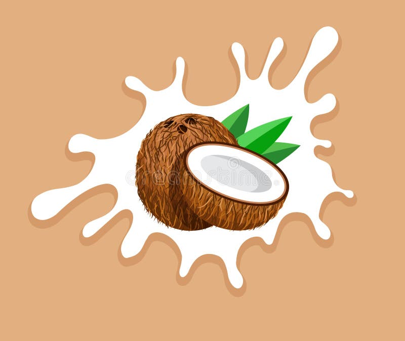 Coconut, Coconut and Milk Splash, Half Coconut Stock Vector ...