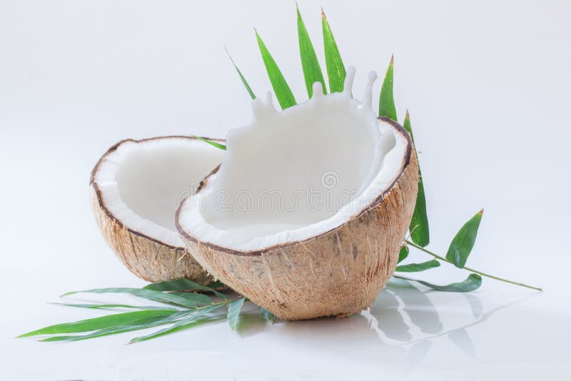 Coconut milk stock photo. Image of coconut, plant, summer - 86647260